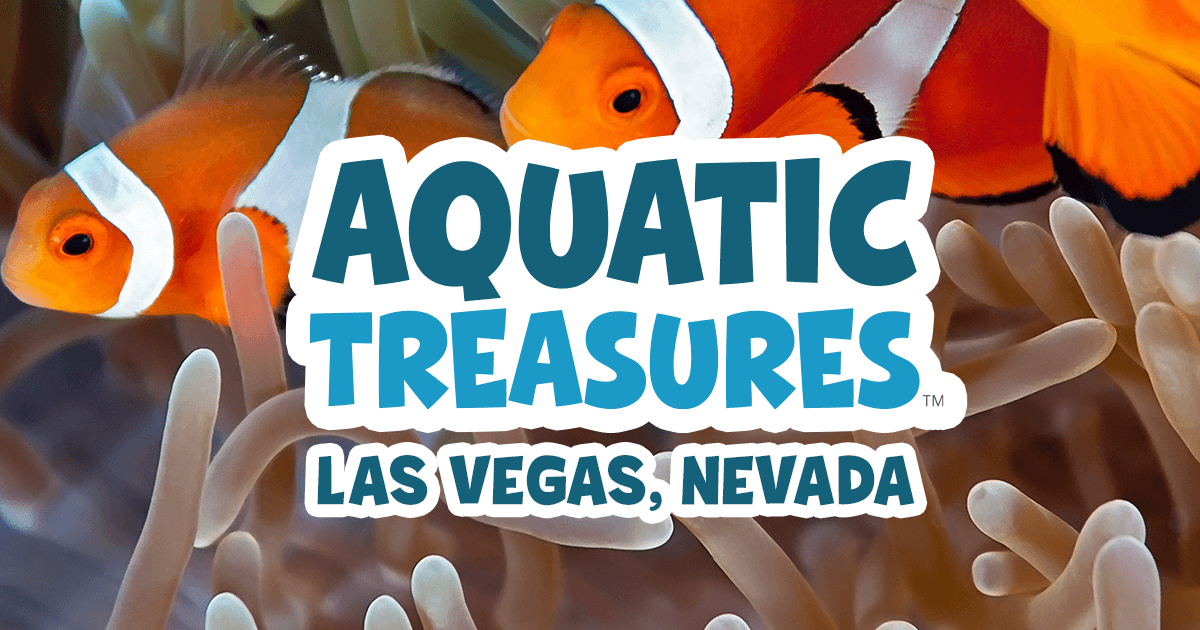 Aquatic Treasures Fish Store - Aquatic Treasures